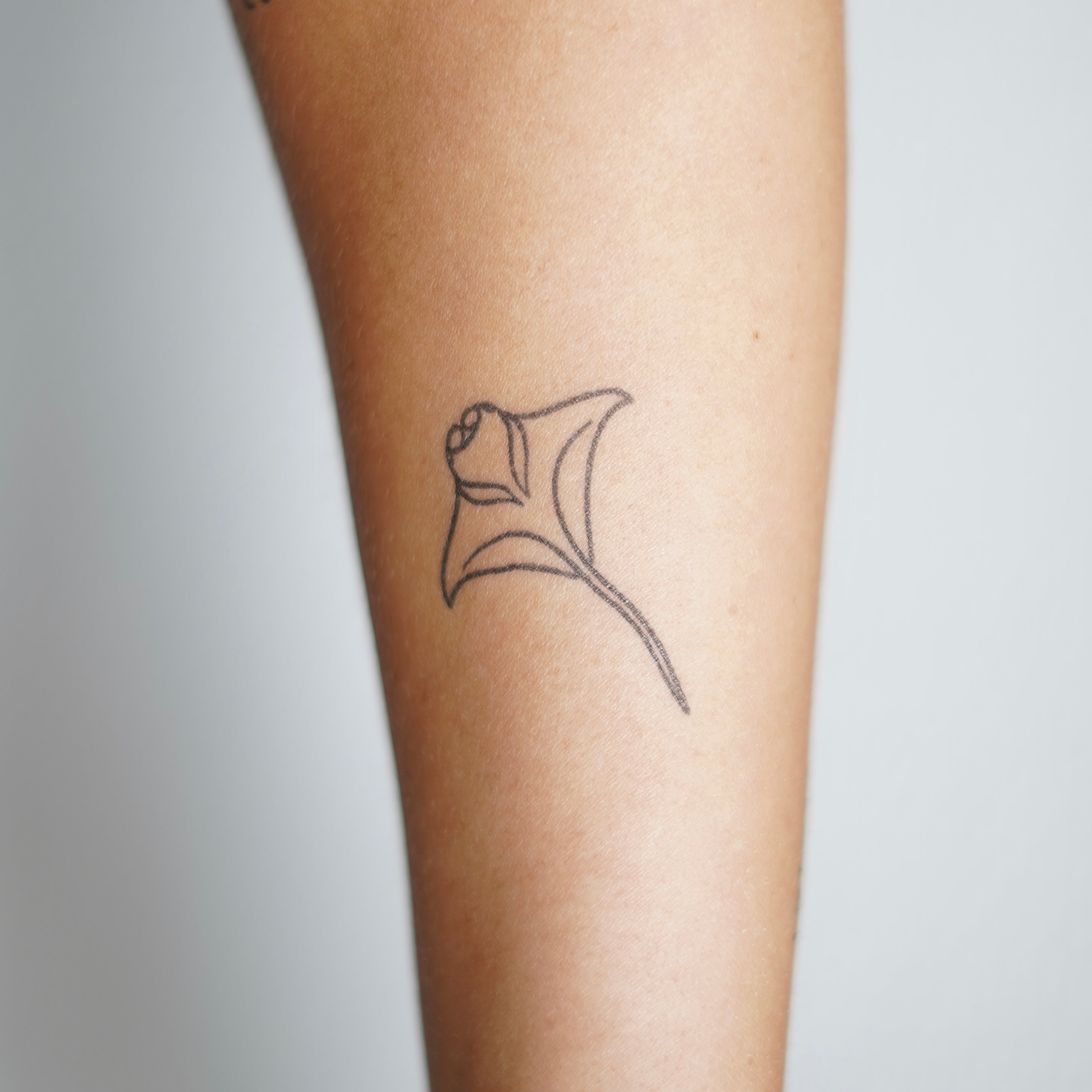 Mantarog | 2 Weken Tijdelijke Tatoeage | Inkster
